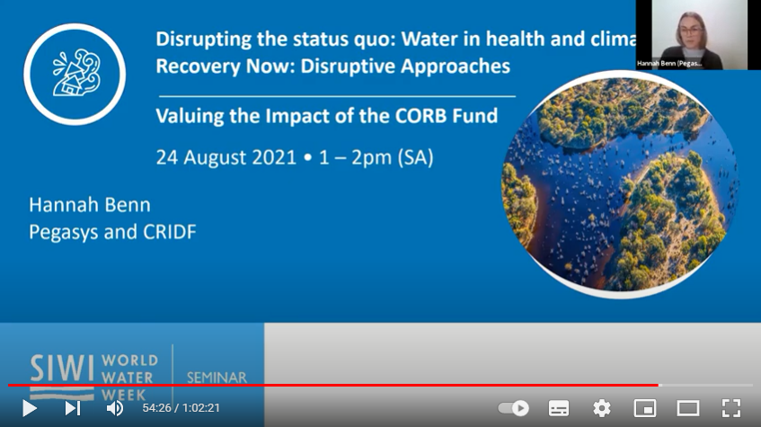 Hannah Benn on the CORB fund | WWW 2021 | CRIDF RC