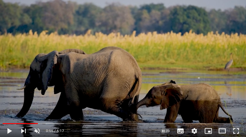 ZAMCOM and CRIDF in partnership to improve livelihoods | CRIDF RC